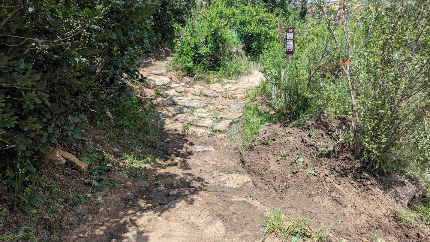 Awesome July 2023 Workday | Go Palmer Park